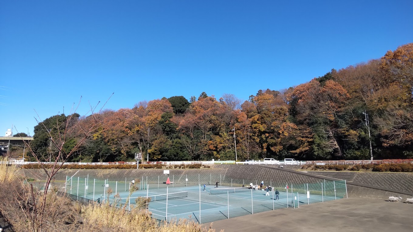 【最新版】座間でテニスコートを利用したい！おすすめの施設を紹介 | ZAMAP | 座間市の情報まとめ